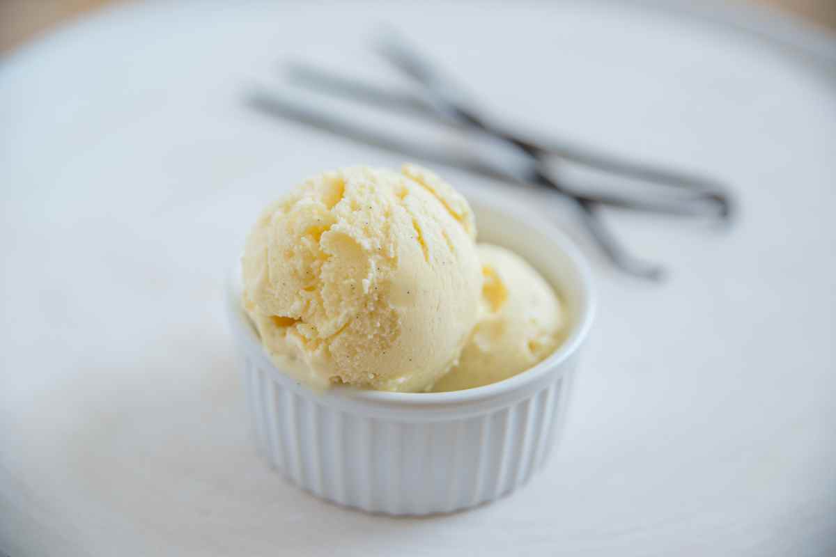 Mexican Vanilla Ice Cream