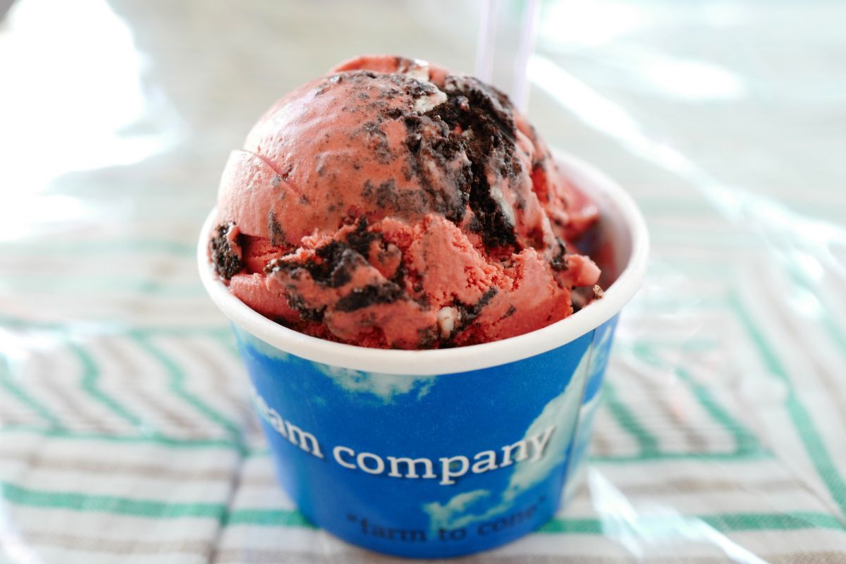 Best Ice Cream Places In Miami, Florida